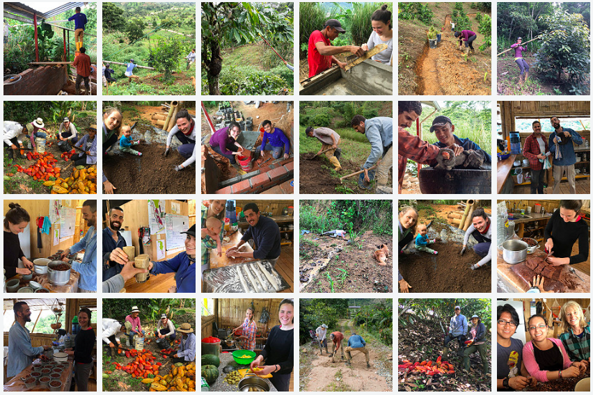 Volunteer Testimonials - GaiaVerso