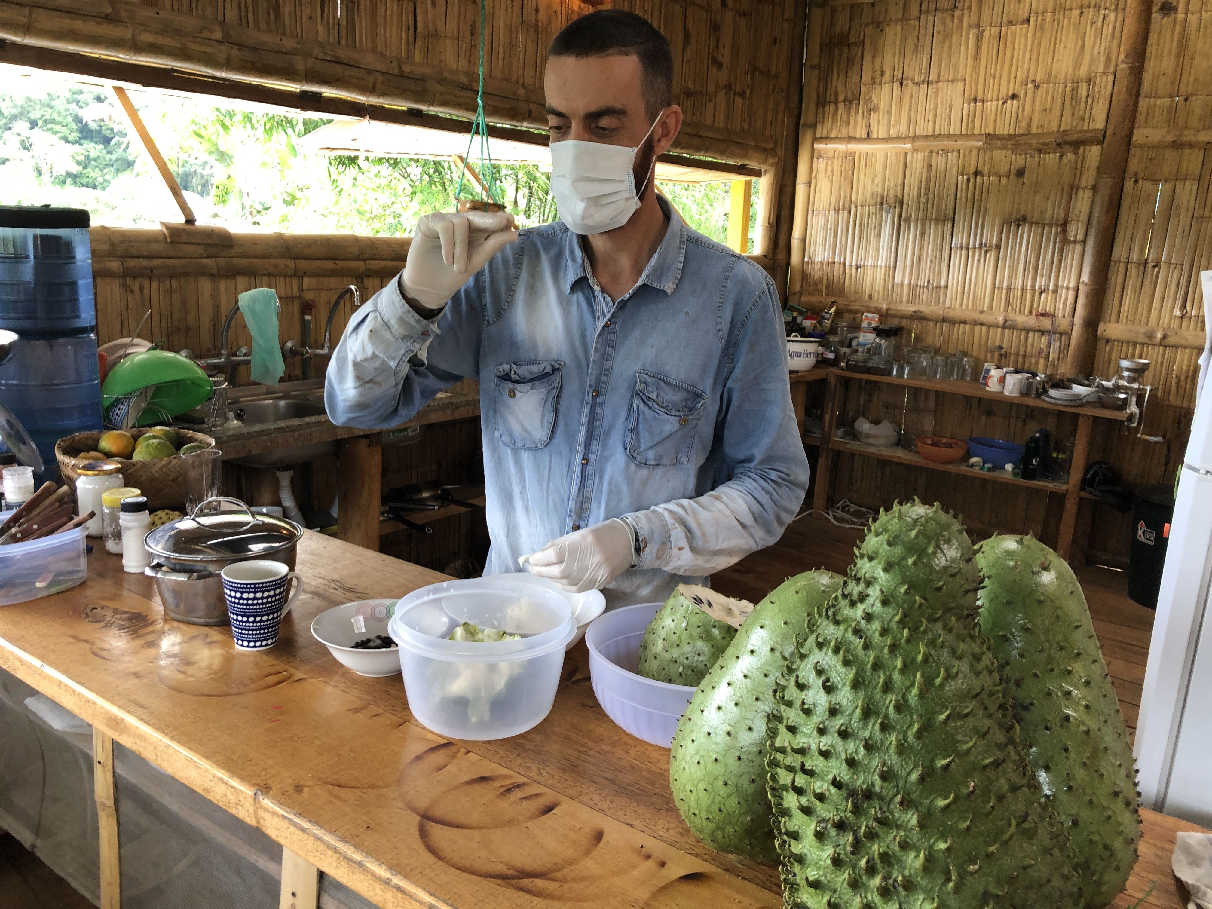 Soursop process: From harvest to pulp - GaiaVerso